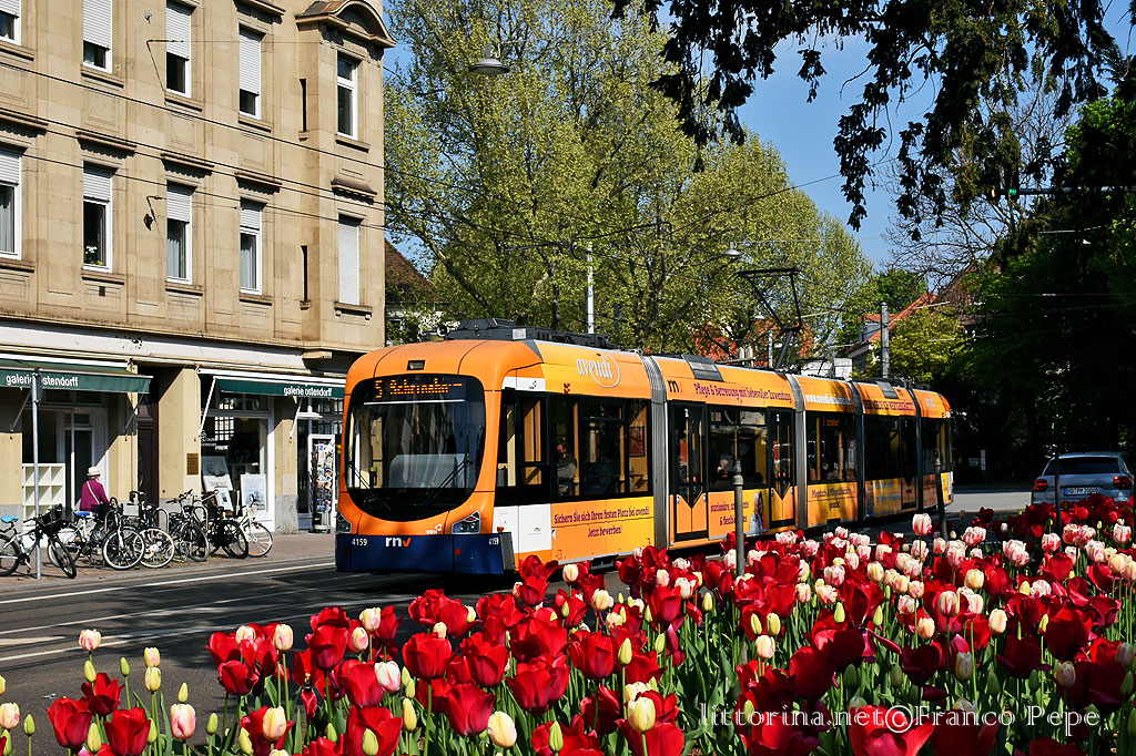 RNV tram 4159 – Mönchhofplatz – Heidelberg (D) – 22 aprile 2022 ...