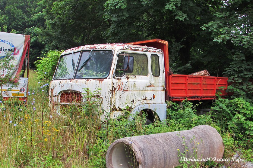Fiat 643n – Montenotte Inferiore (SV) – 7 luglio 2024 – littorina.net